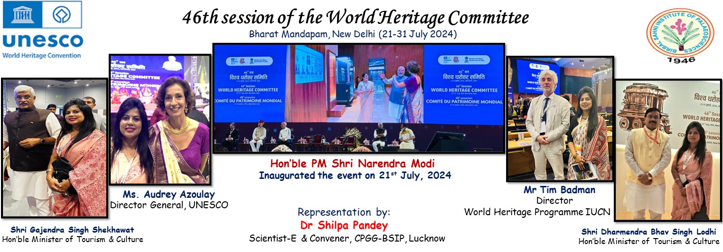 मुख्य पृष्ठ | बीरबल साहनी पुरावनस्पतिविज्ञान संस्थान