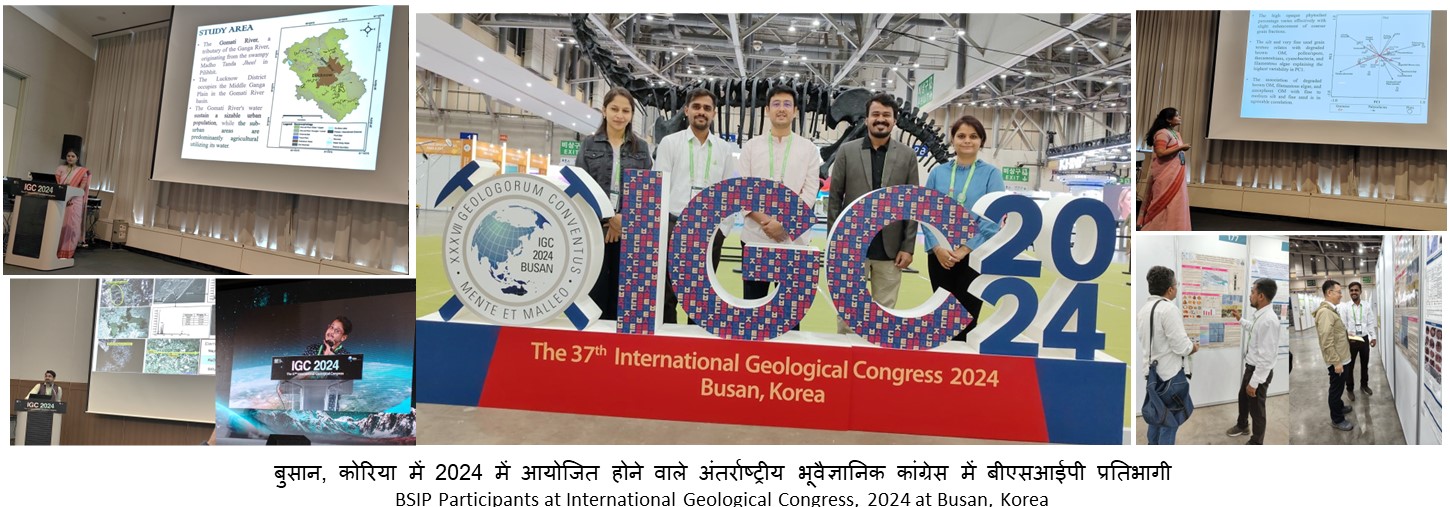 मुख्य पृष्ठ | बीरबल साहनी पुरावनस्पतिविज्ञान संस्थान